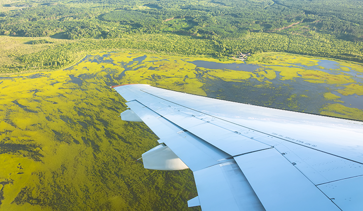 Over 100 States now participate in ICAO’s Carbon Offsetting and ...