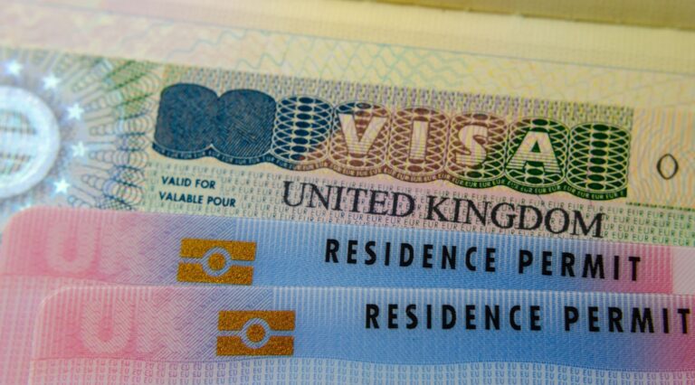 Digital travel authorizations: standardizing the electronic visa ...