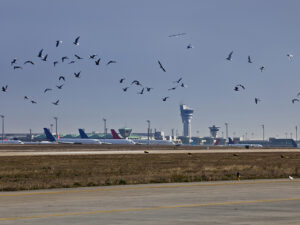 The launch of our airport wildlife management and operations training ...
