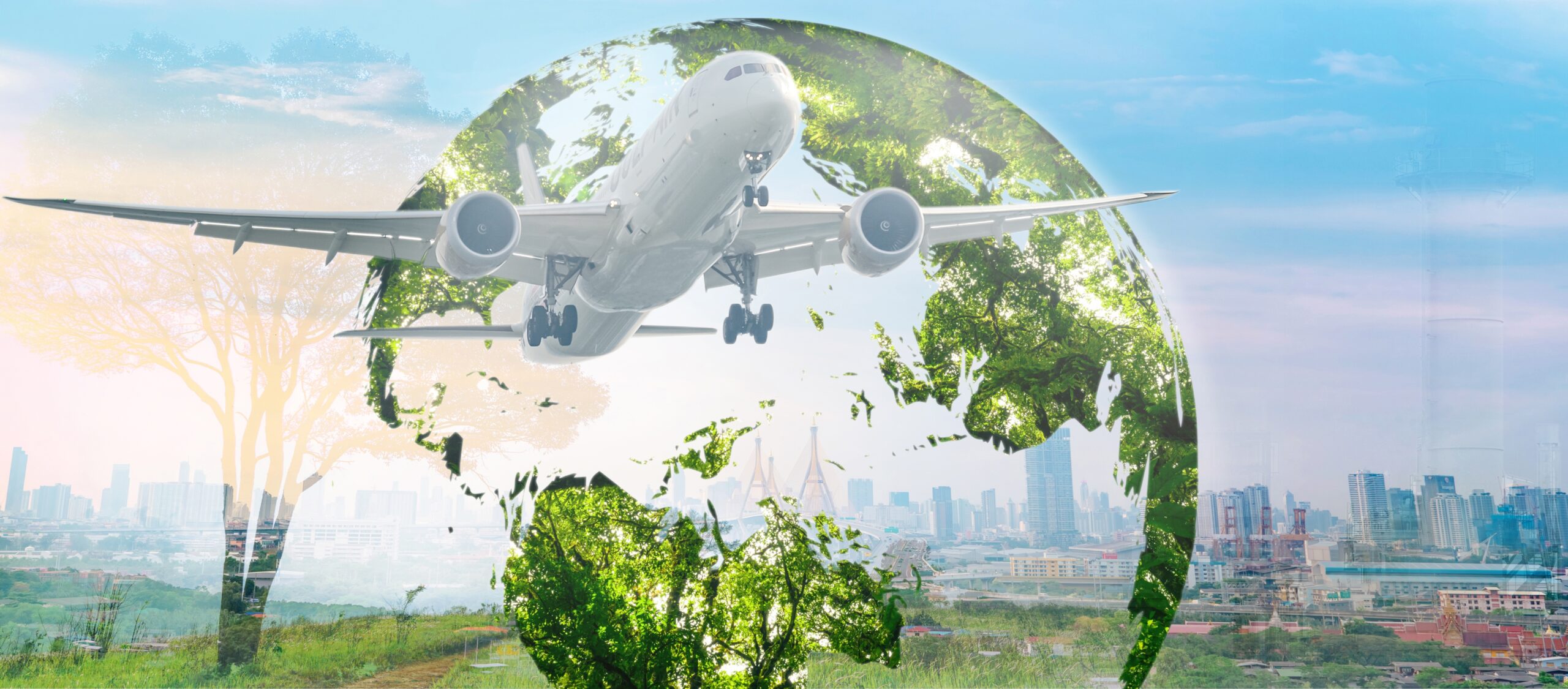 Aviation’s impact on the environment: updates from the EUR/NAT region ...
